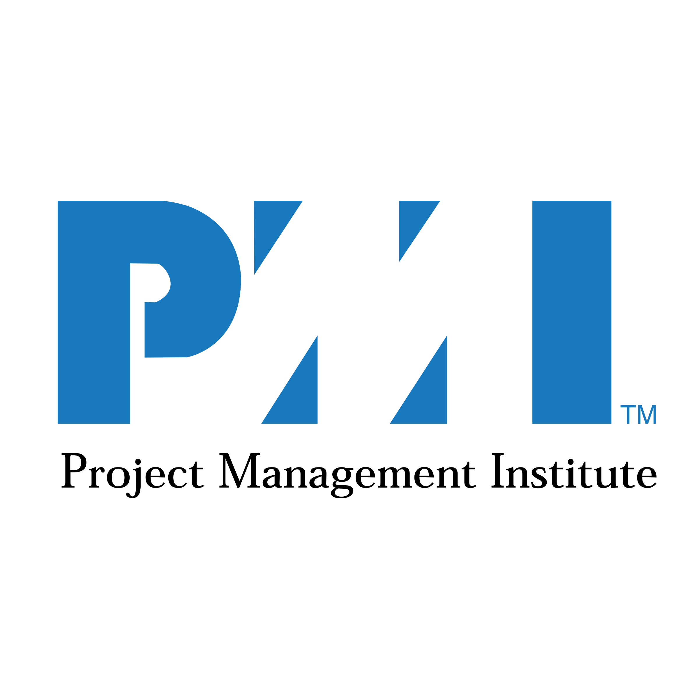 Project Management Institute (PMI) – Fundamentals – Skillstack